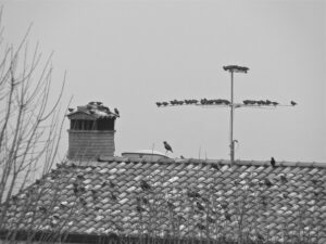 How to Boost Radio Signal in a Building? A Short Guide - Swingin West